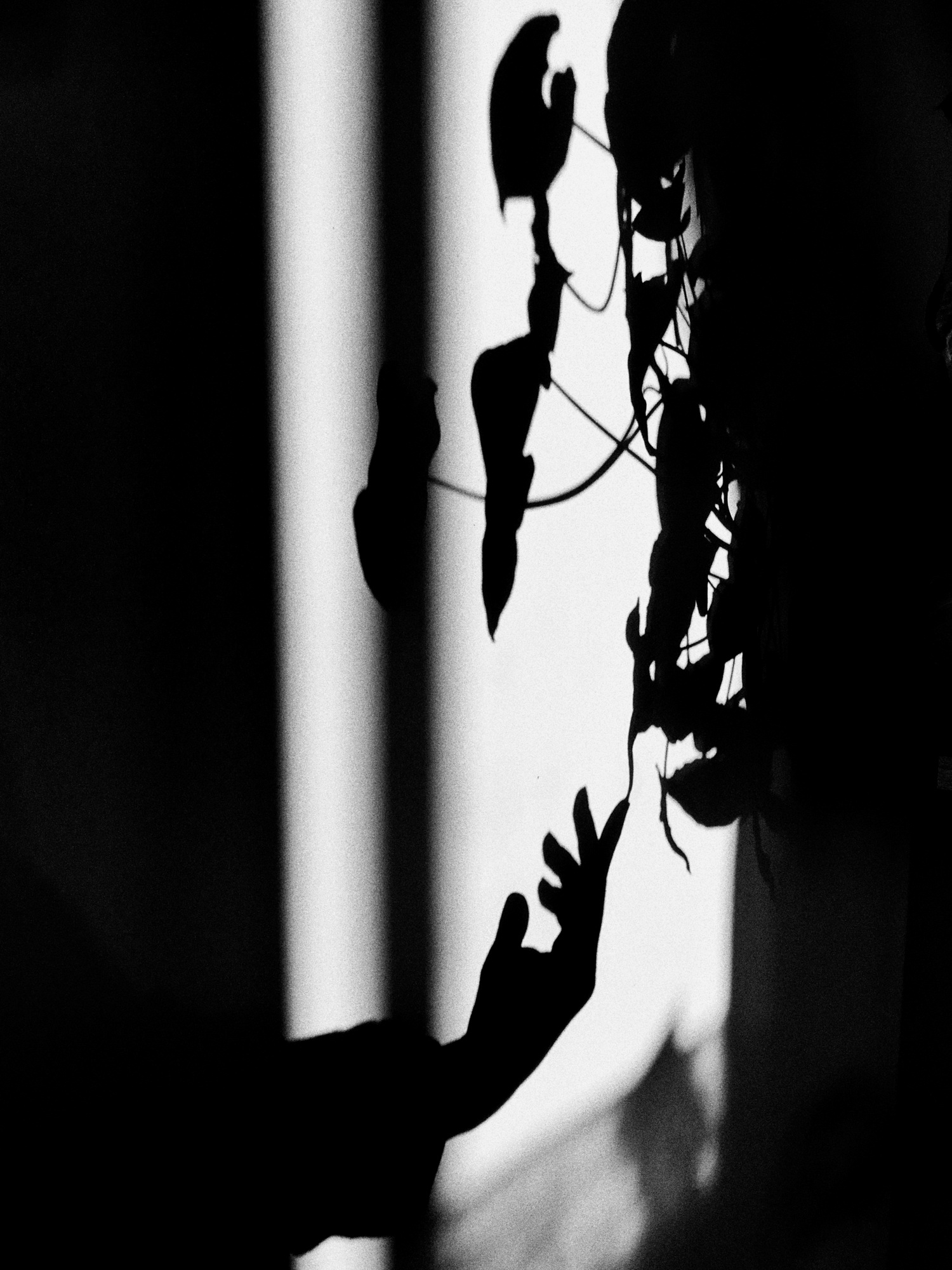 Can Çetin – Fotoğraf & Blog